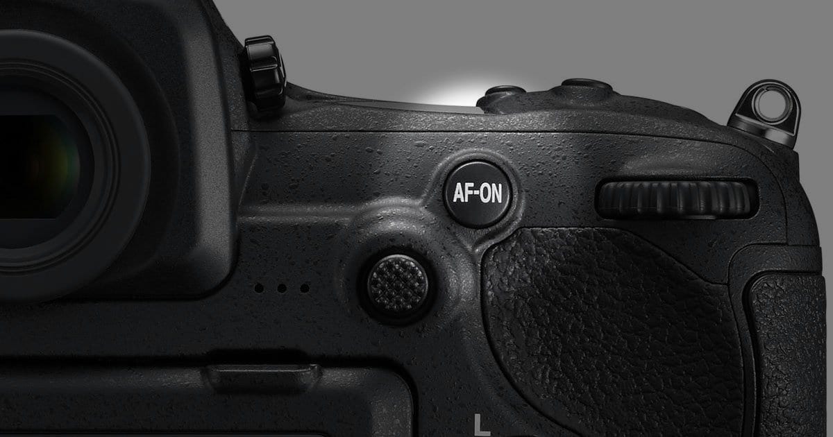 The Evolution of Back-Button Autofocus: The D500 (and D5)